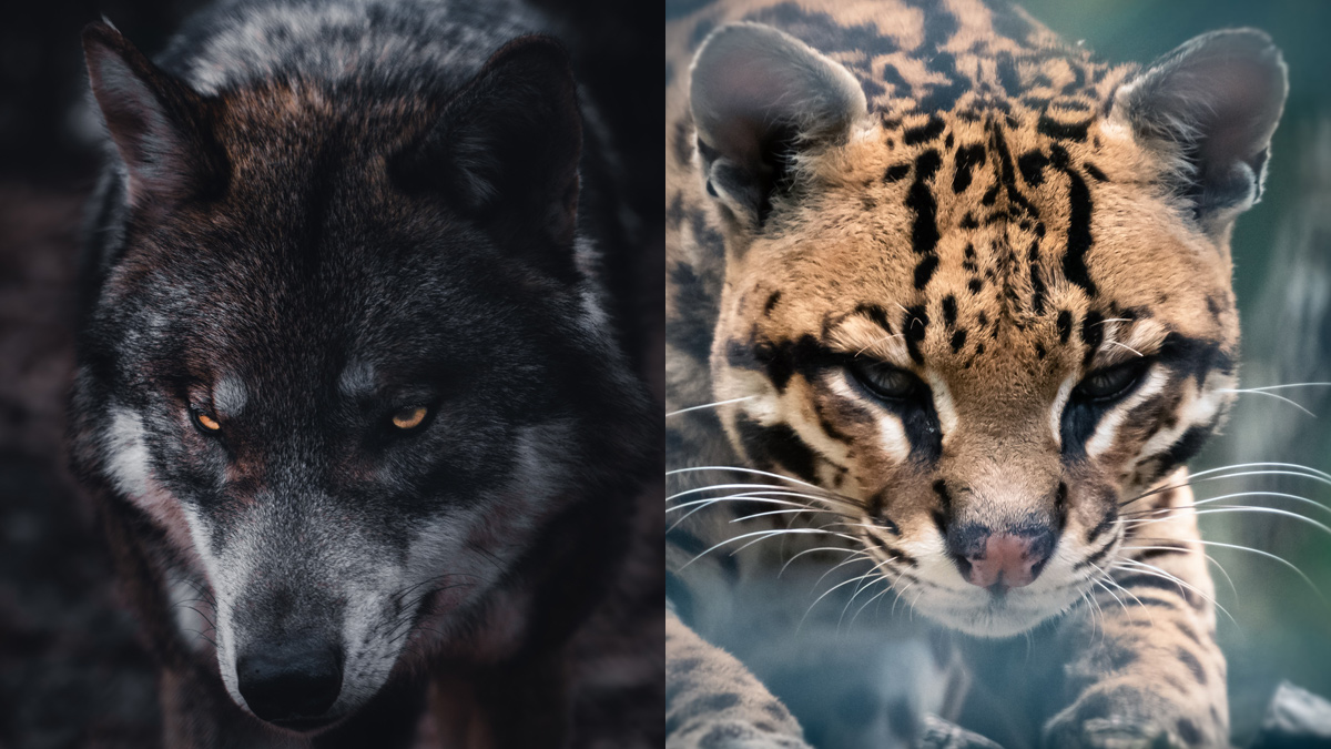 CrowdStrike threat report cites Colombia, Turkey for emerging threats