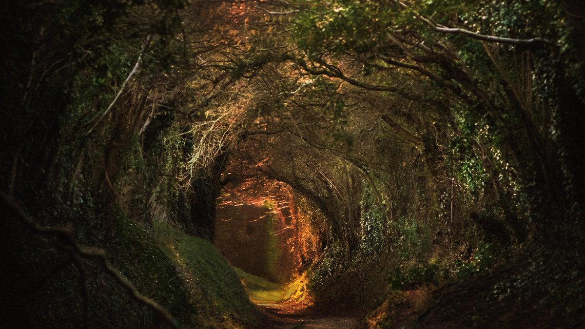 Linux Foundation launches Project Sylva to solve EU telco stack issues